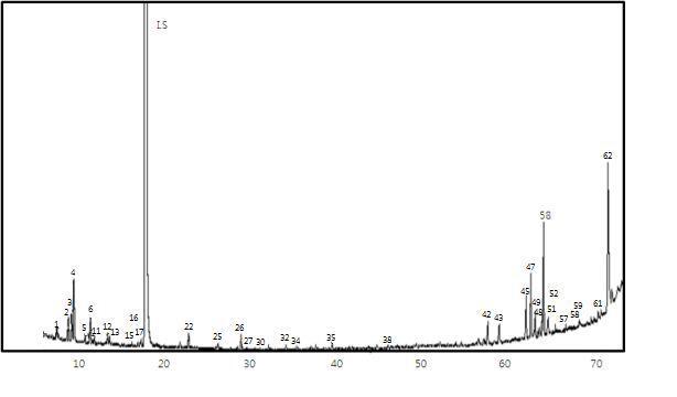 [보고서]연(蓮)을 이용한 한식의 Take-out상품개발-연잎쌈밥