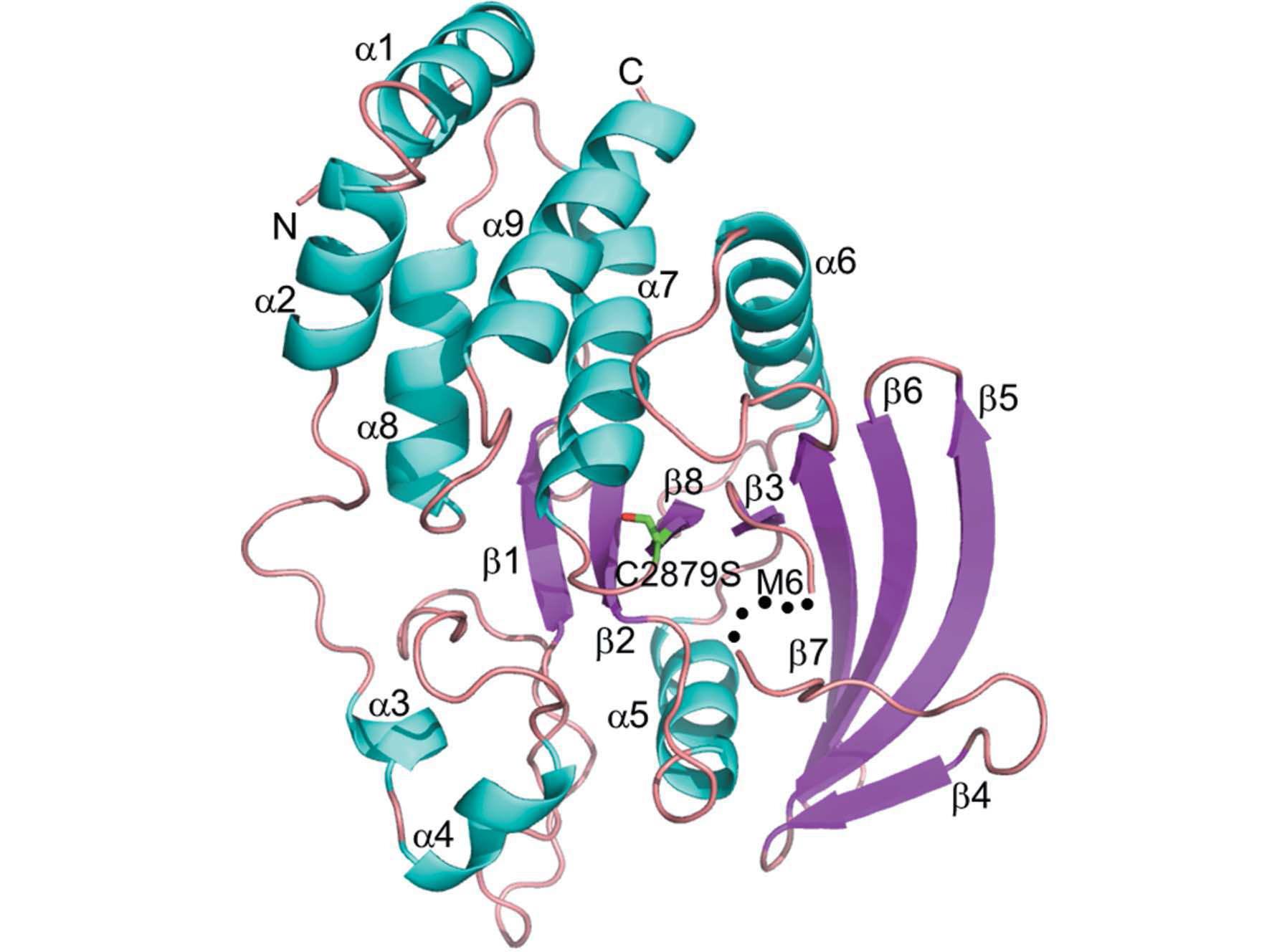 과학기술 지식인프라 ScienceON (사이언스온)