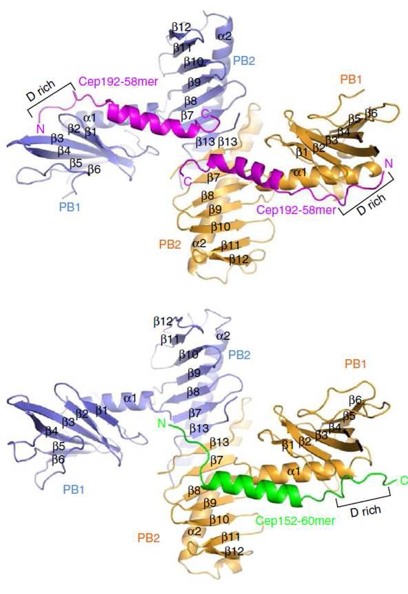 과학기술 지식인프라 ScienceON (사이언스온)