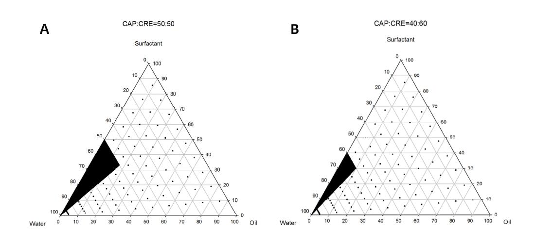 [보고서]대사효소와 세포막 방출 수송체와의 상호작용 기전을 이용한 약물전달시스템 개발