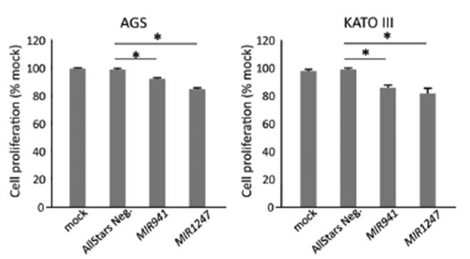 [보고서]Epigenetic regulation을 통한 종양줄기세포에서의 방사선 치료 가능성 연구