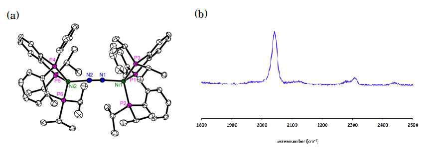 [보고서]금속 퍼옥시나이트라이트 종에 대한 연구