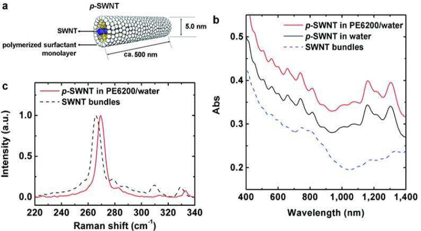 [보고서]냉중성자 in-situ 나노분석을 이용한 이방성 하이브리드 나노구조체 개발