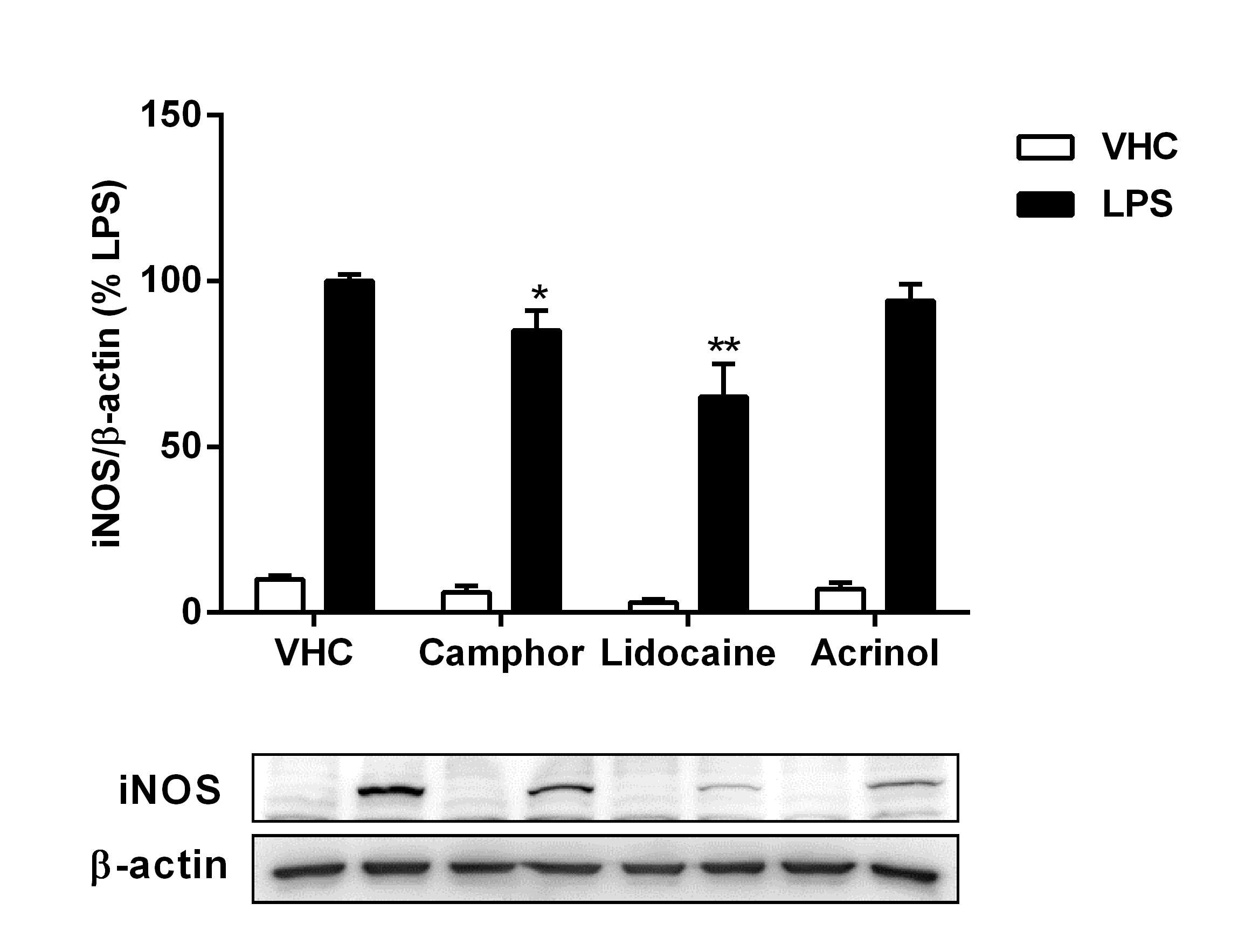 [보고서]국소 통증 완화 물질이 함유된 알콜 소독제(Swab) 개발