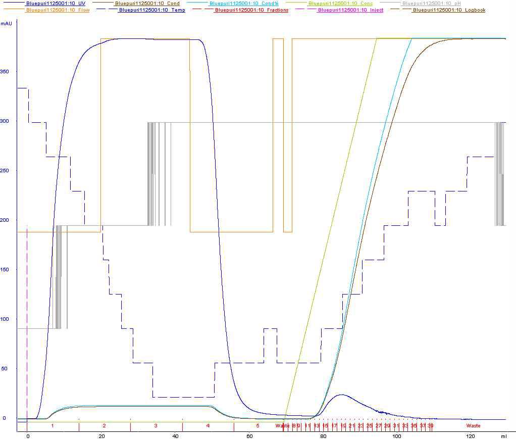 [보고서]친화성결합을 이용한 재조합체 분리정제법 개발