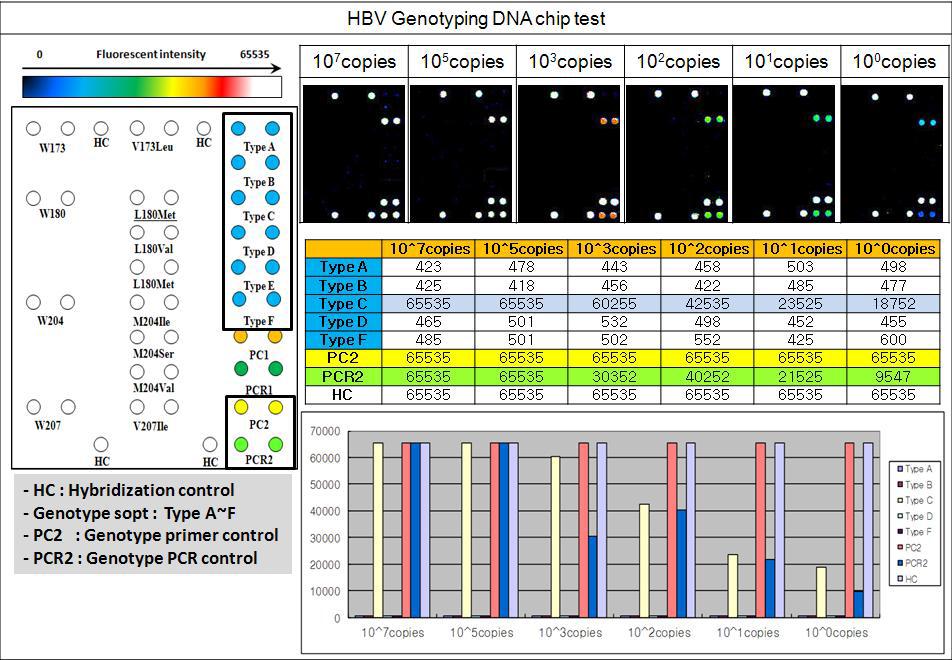 [보고서]고감도 HBV 다약재 내성진단 보급형 바이오칩 및 스캐너의 개발