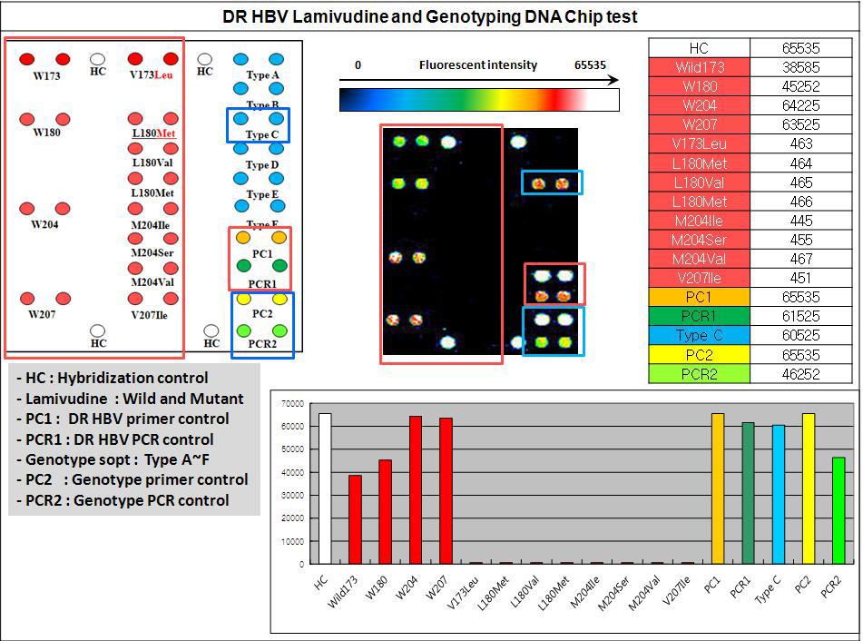 [보고서]고감도 HBV 다약재 내성진단 보급형 바이오칩 및 스캐너의 개발