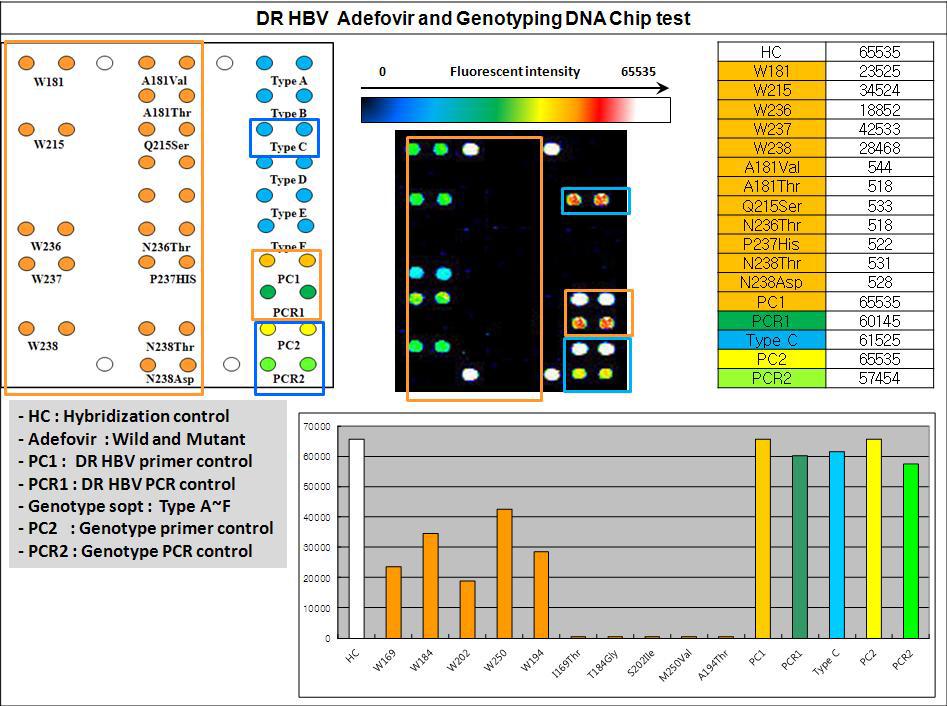 [보고서]고감도 HBV 다약재 내성진단 보급형 바이오칩 및 스캐너의 개발
