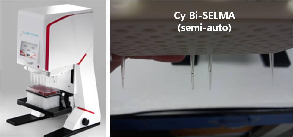 [보고서]혈청 내 당쇄 분석에 의한 여성암 표지자의 발굴 및 상용화 가능 진단서비스 체계 개발