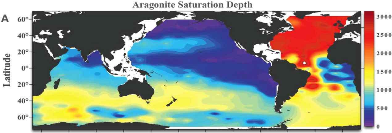 [보고서]다중선형회귀를 이용한 북태평양 해역의 탄산칼슘 포화도 분포 연구