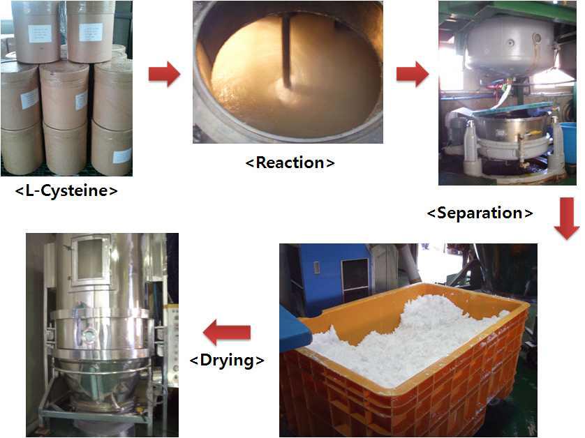 [보고서]N-Acetyl-L-Thioproline과 인산가용화균을 융합한 친환경 식물성장촉진제의 개발