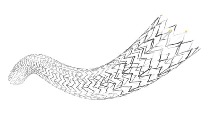 [보고서]고분자 박막코팅에 의한 피로수명이 연장된 GI 스텐트 개발