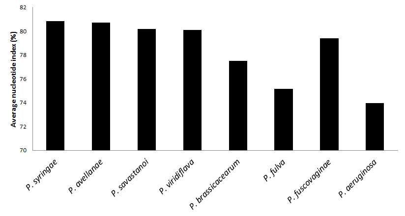 [보고서]광범위 침해균 Pseudomonas cichorii의 발병관련 유전자 기능 구명