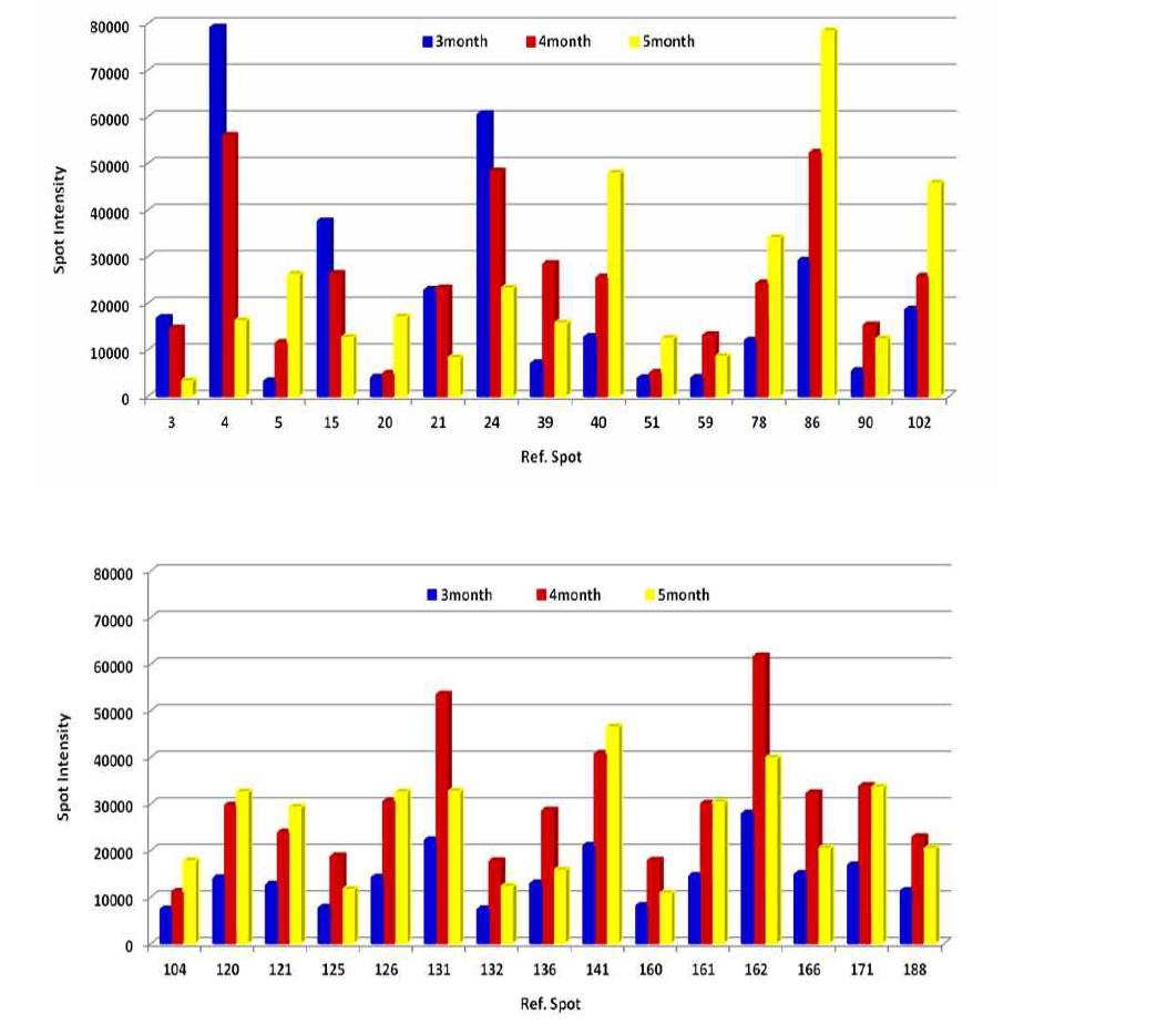 [보고서]생물반응기를 이용한 4배체 도라지 배양근의 대량번식 및 건강기능성 식품 개발