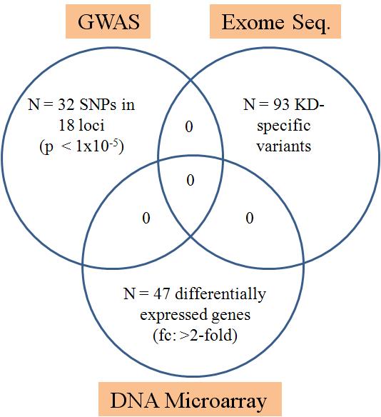 [보고서]가와사끼병의 원인 유전자 규명을 통한 진단 및 치료반응성 예측기술 개발