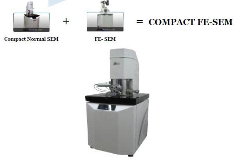[보고서]초미세 투과영상과 표면영상을 구현하는 Compact FE-SEM