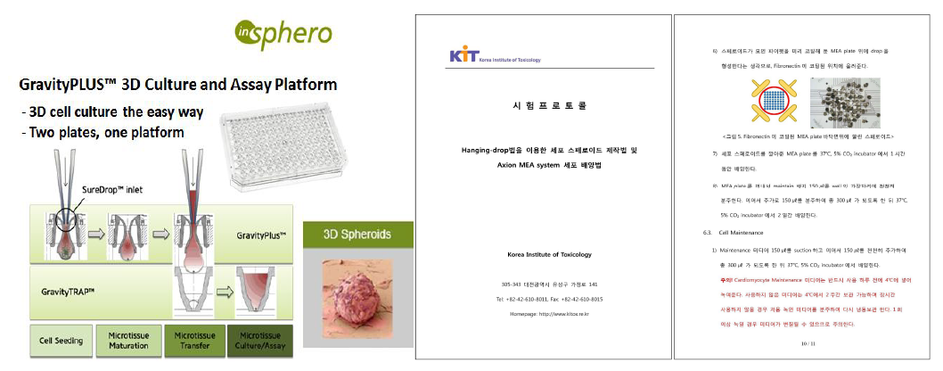 [보고서]사람세포 3차원 배양모델을 이용한 새로운 안전성약리시험법 개발