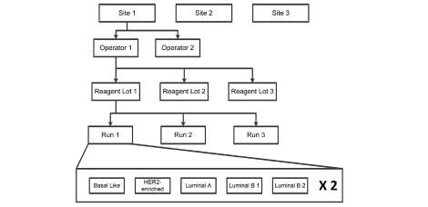 [보고서]맞춤의료를 위한 체외진단다지표검사(IVDMIA)의료기기 평가기술 개발 연구