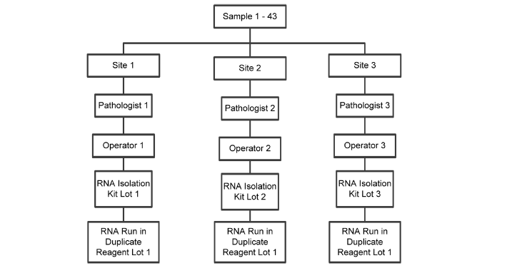 [보고서]맞춤의료를 위한 체외진단다지표검사(IVDMIA)의료기기 평가기술 개발 연구