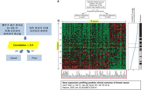 [보고서]맞춤의료를 위한 체외진단다지표검사(IVDMIA)의료기기 평가기술 개발 연구