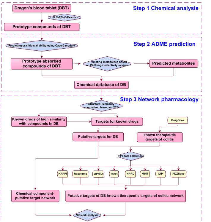 [보고서]한약(생약)제제 약물동태 및 약물상호작용 도입을 위한 연구