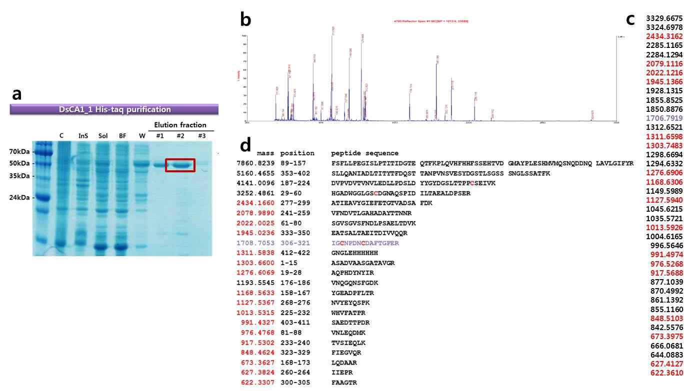 [보고서]해양 유래 CA-PEPCase system 기반 생물전환 원천 기술 개발