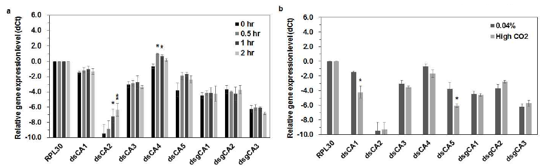 [보고서]해양 유래 CA-PEPCase system 기반 생물전환 원천 기술 개발