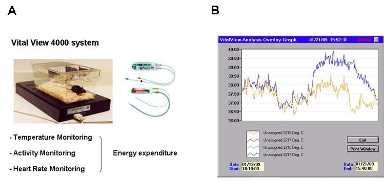 [보고서]신경 내분비계에서 염증성 질병반응 발생기전 연구