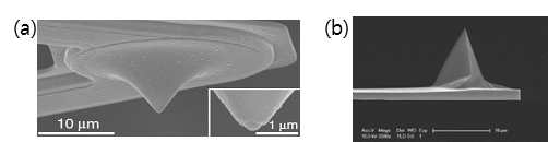 [보고서]부 온도와 표면 형태를 동시에 측정 가능한 AFM-열반사율 기술 연구