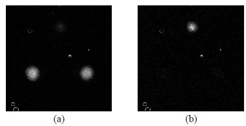 [보고서]광계수형 컴퓨터 단층 촬영장치용 핵심기술개발