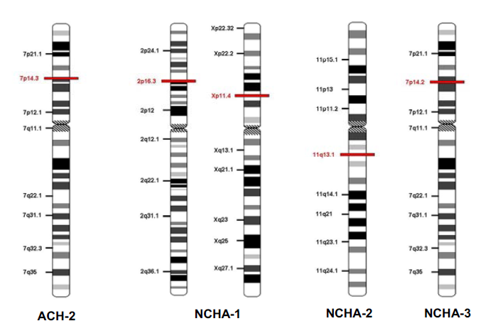 [보고서]Proviral DNA 재활성화를 이용한 HIV 만성감염제어 연구