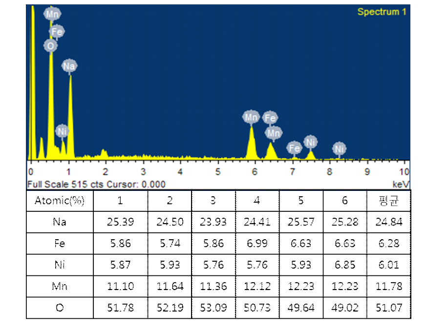 [보고서]전력저장용 저가격 고안전성 나트륨 이차전지 개발