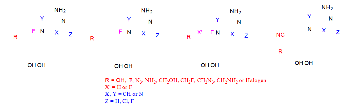 [보고서]광범위 항바이러스제 개발을 위한 S-Adenosylhomocysteine Hydrolase 저해제의 설계, 합성 및 ...