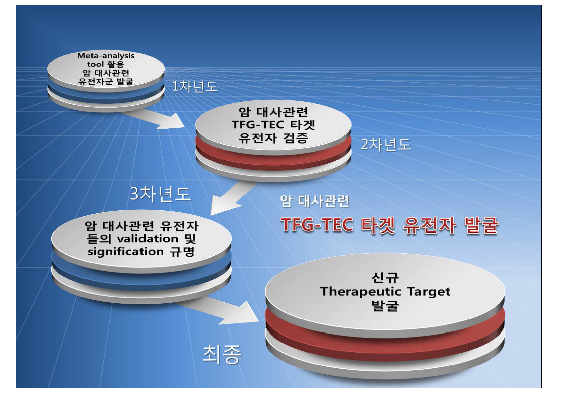[보고서]암 대사관련 TFG-TEC 타겟 유전자 발굴 연구