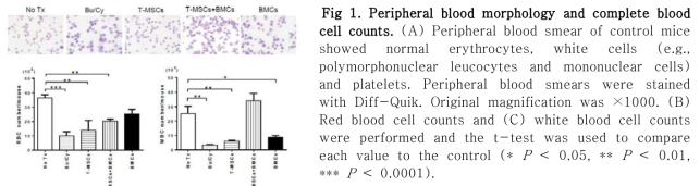 [보고서]골수재건을 위한 새로운 조혈모세포 공급원의 발굴