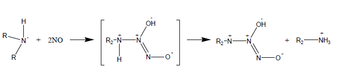 [보고서]관상동맥용 약물방출제어 나노표면 스텐트 개발