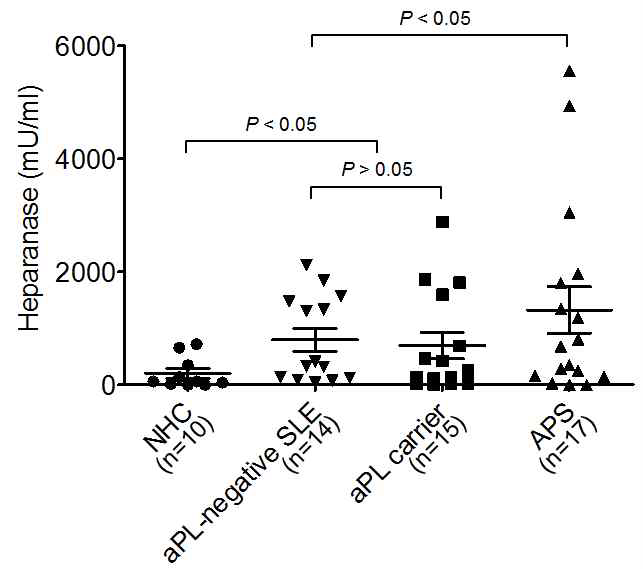 [보고서]항인지질증후군에서 혈소판 heparanase에 의한 혈전 발생 기전 규명