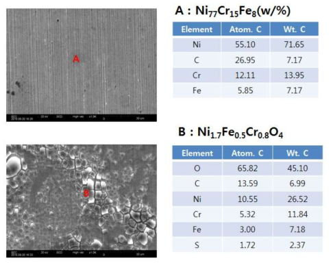 [보고서]원자력시설 고도제염기술 개발