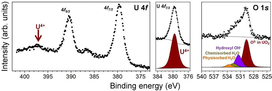 [보고서]조사핵연료 내 악티나이드 화학거동 연구