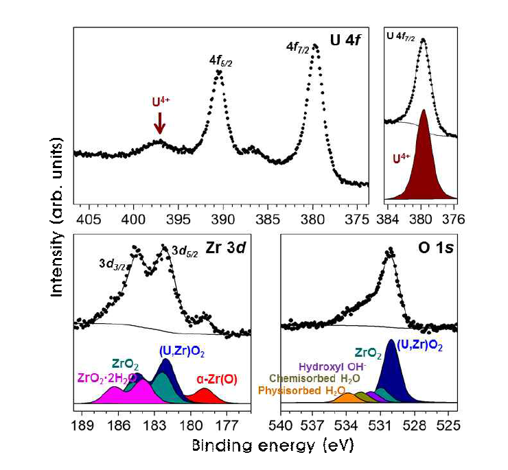 [보고서]조사핵연료 내 악티나이드 화학거동 연구