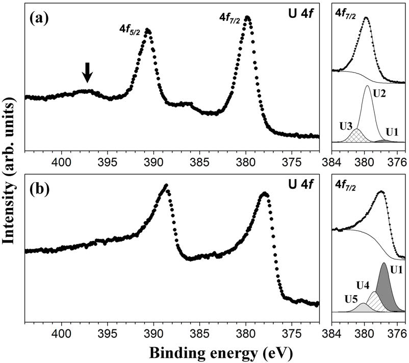 [보고서]조사핵연료 내 악티나이드 화학거동 연구