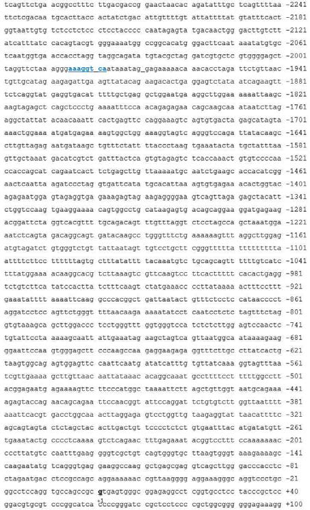 [보고서]암 대사관련 TFG-TEC 타겟 유전자 발굴 연구