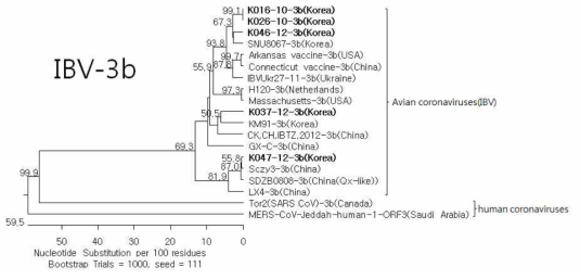 [보고서]한국형 주요 신·변종 인수공통전염병원체 자원확보 및 DB 구축