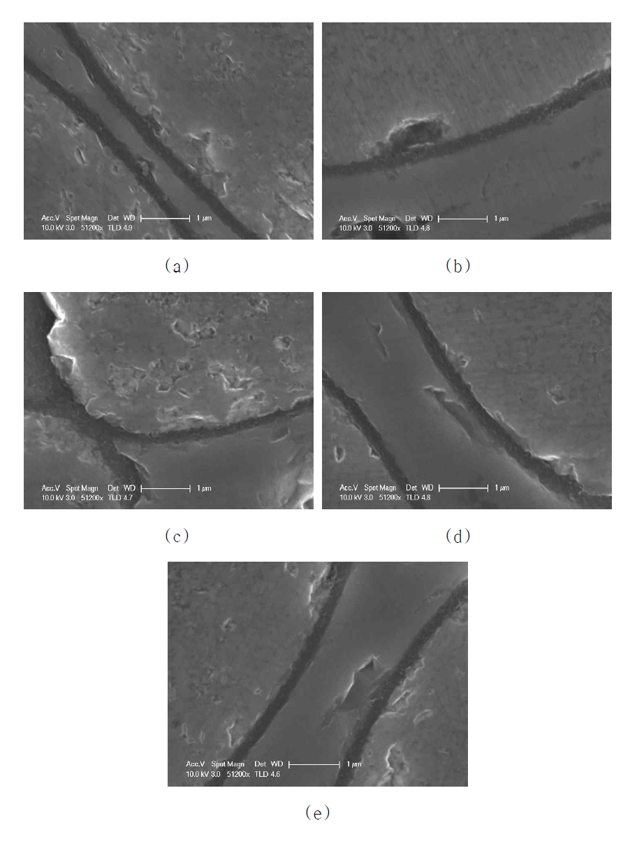 [보고서]SiC 복합체 튜브 제조 및 접합기술 개발