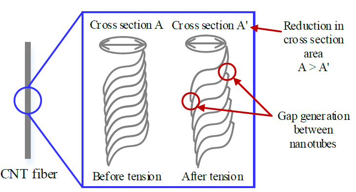 [보고서]Development of super-strong & multifunctional carbon-nanotube ...