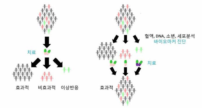 [보고서]개인맞춤약물요법 개발을 위한 계량약리학적 평가기술 연구