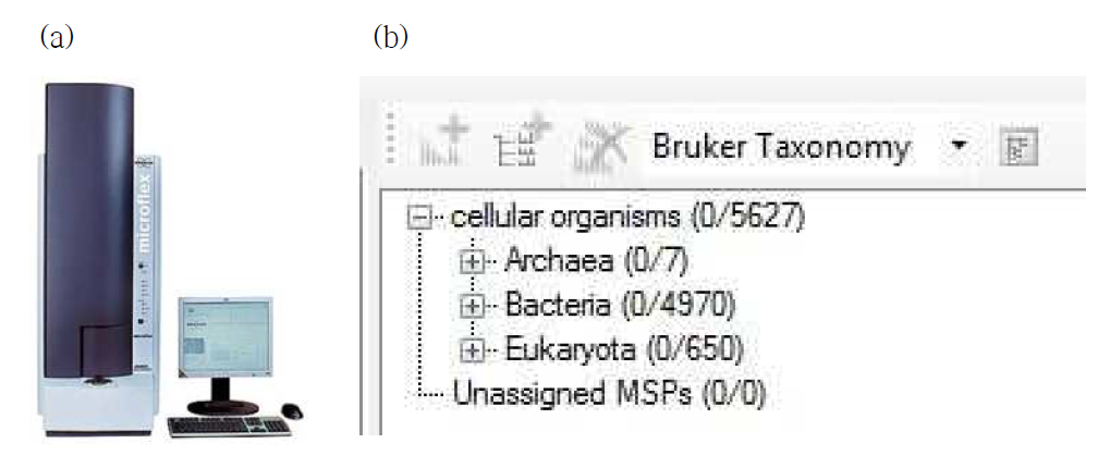 [보고서]MALDI-TOF MS를 이용한 병원체자원 동정 및 분석기술 고도화 연구