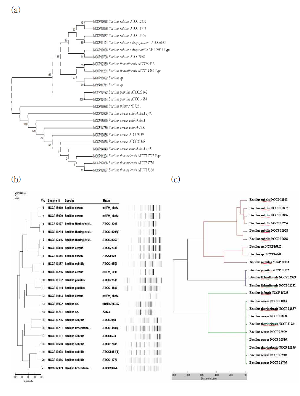 [보고서]MALDI-TOF MS를 이용한 병원체자원 동정 및 분석기술 고도화 연구