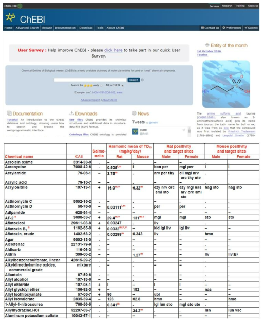[보고서]의약품 불순물의 in silico 유전독성 평가기술 적용 연구