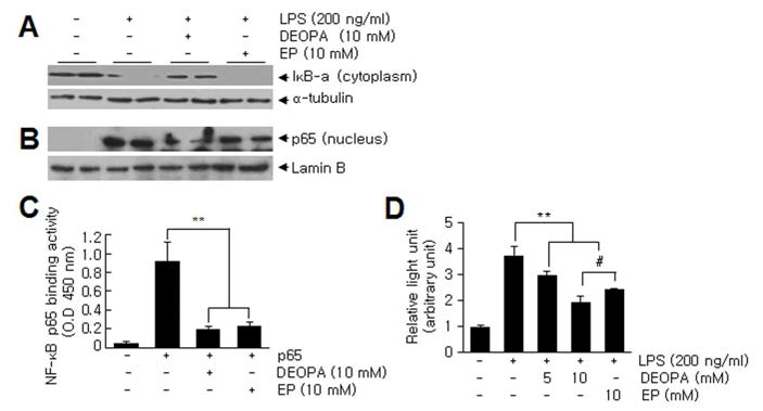 [보고서]Ethyl pyruvate isosisters를 활용한 복합기능 뇌졸중 치료제 개발